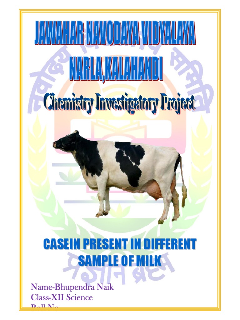 Investigatory Project Casein Present in Different Sample of Milk | PDF ...