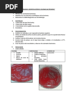 Tinción De Endosporas Schaeffer Y Fulton Pdf Las Bacterias