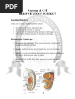 Development of Gastrointestinal System | PDF | Gastrointestinal Tract ...