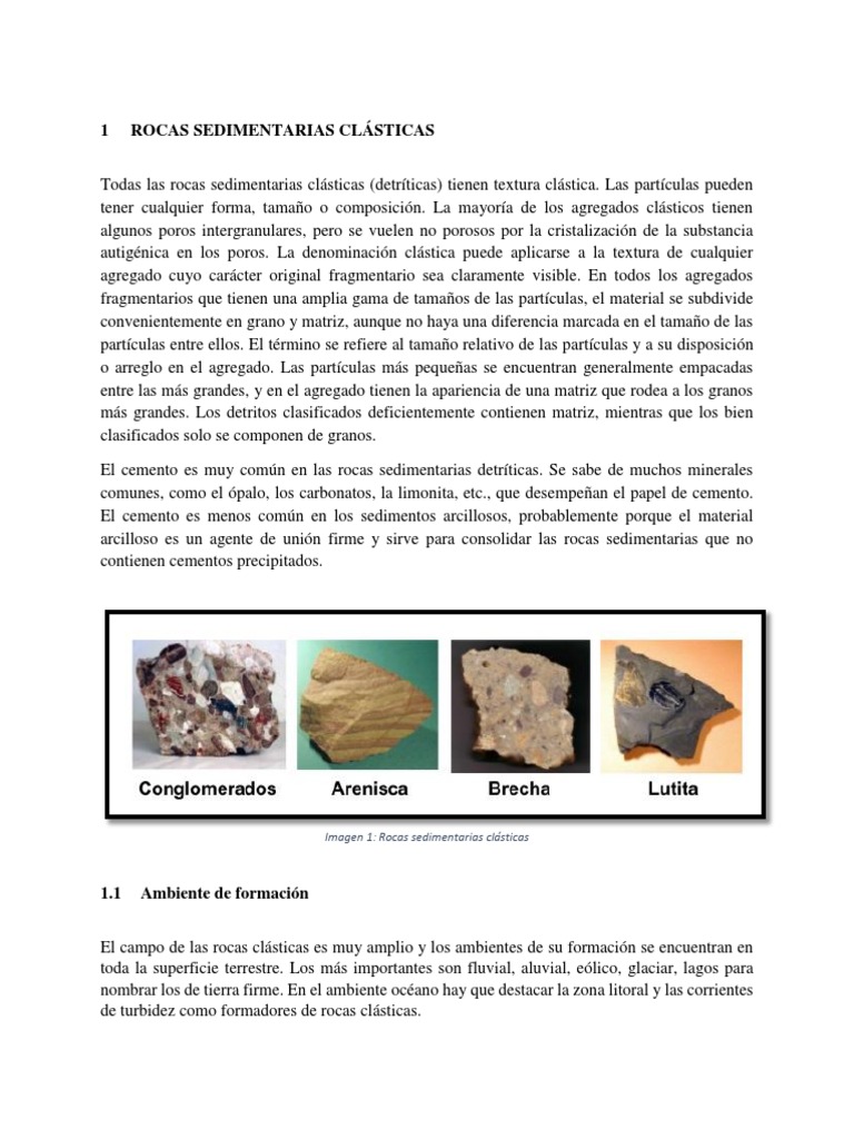 Rocas Sedimentarias Clásticas | PDF | Roca clástica | Minerales