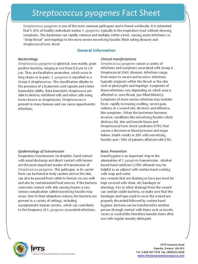 Streptococcus Pyogenes | PDF | Streptococcus | Immunology