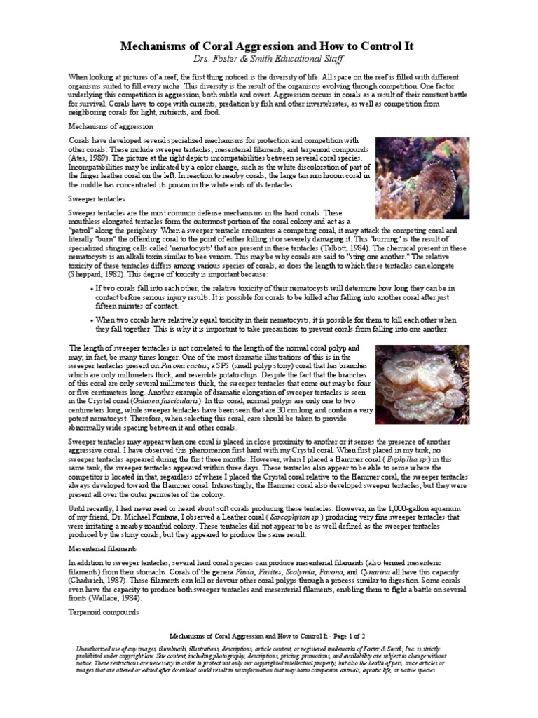 Mechanisms of Coral Aggression and How To Control It | PDF | Coral ...