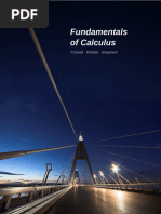 Essential Calculus Skills Practice Workbook With Full Solutions | PDF ...