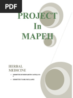 Halamang Gamot Table | PDF | Garlic | Plants