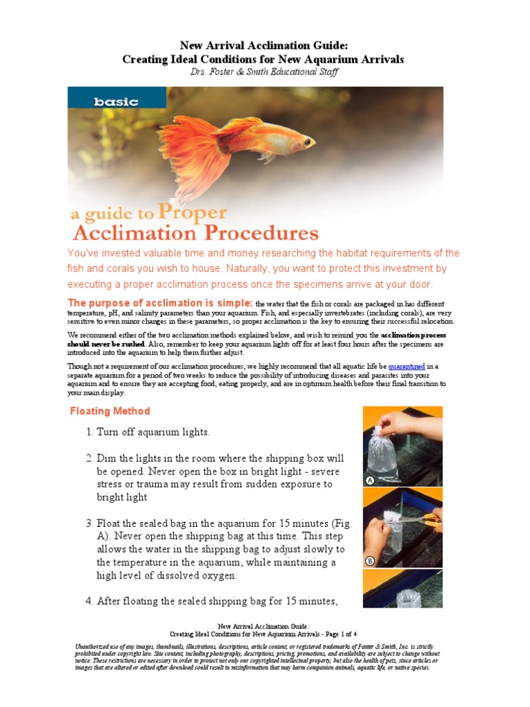 New Arrival Acclimation Guide: Creating Ideal Conditions For New ...