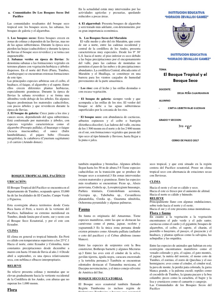 Triptico Horacio | PDF | Zona tropical | Selva