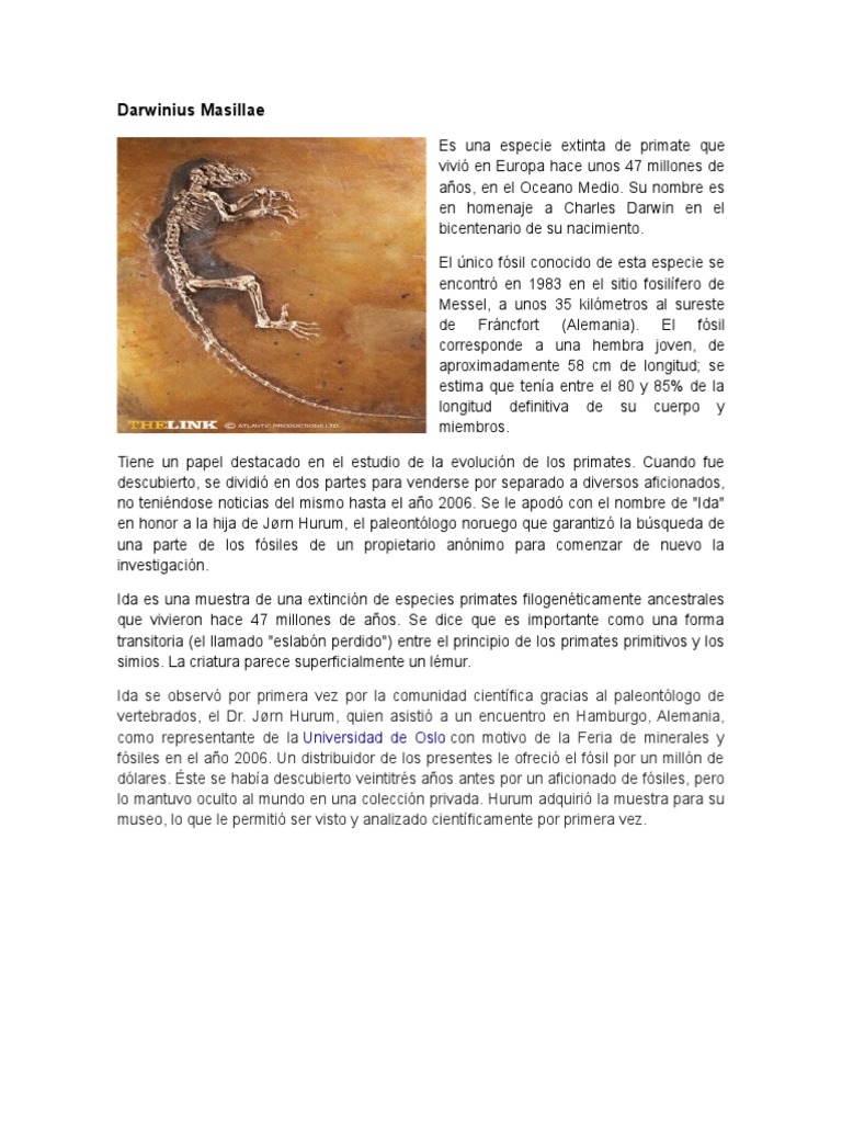 Darwinius Masillae | PDF | Organismos | Science