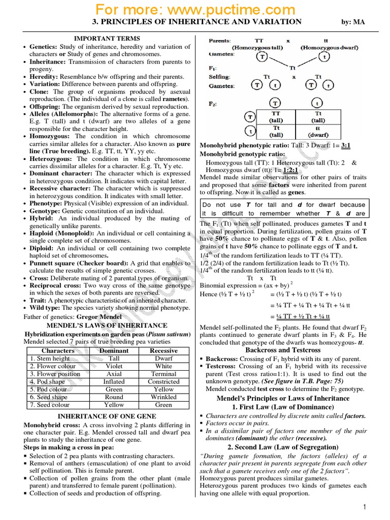 Principles of Inheritance N Variation PDF | PDF | Dominance (Genetics) | Zygosity