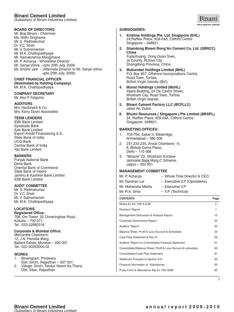 Binani Cement | PDF | Board Of Directors | Dividend