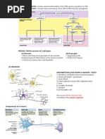 Mutupo - Shona | PDF | Zoology