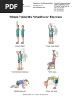 Rotator Cuff and Shoulder Conditioning Program - OrthoInfo - AAOS | PDF ...