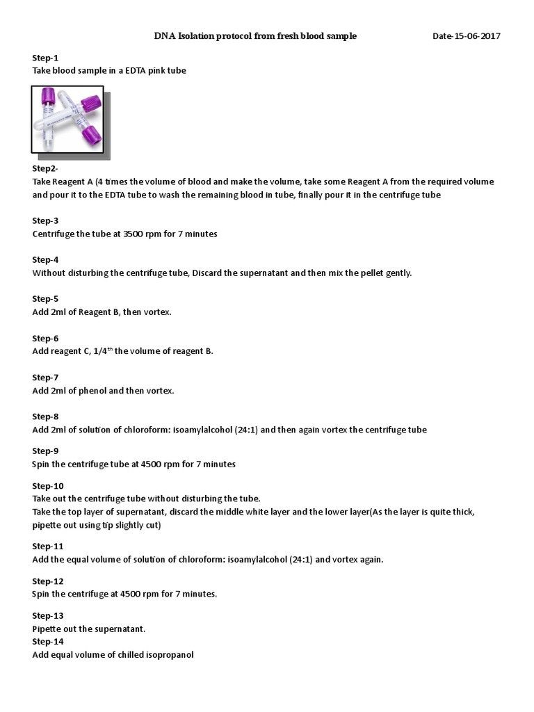 DNA Isolation Protocol From Fresh Blood Sample | PDF