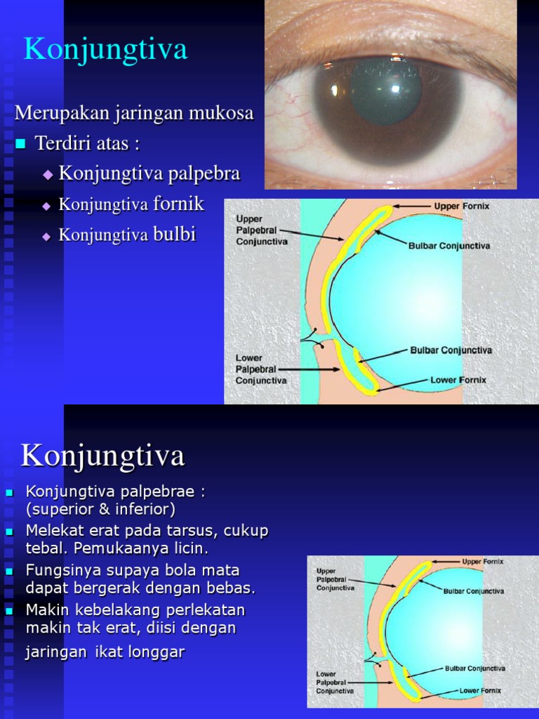 Konjungtiva Edit1 | PDF