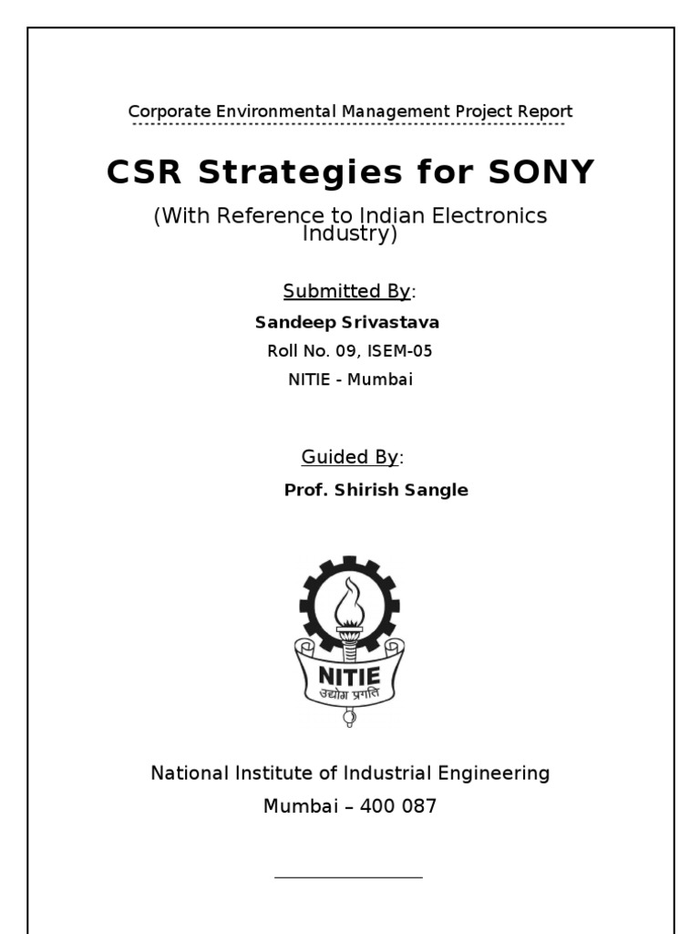 SONY CSR Strategies | PDF | Corporate Social Responsibility | Business ...