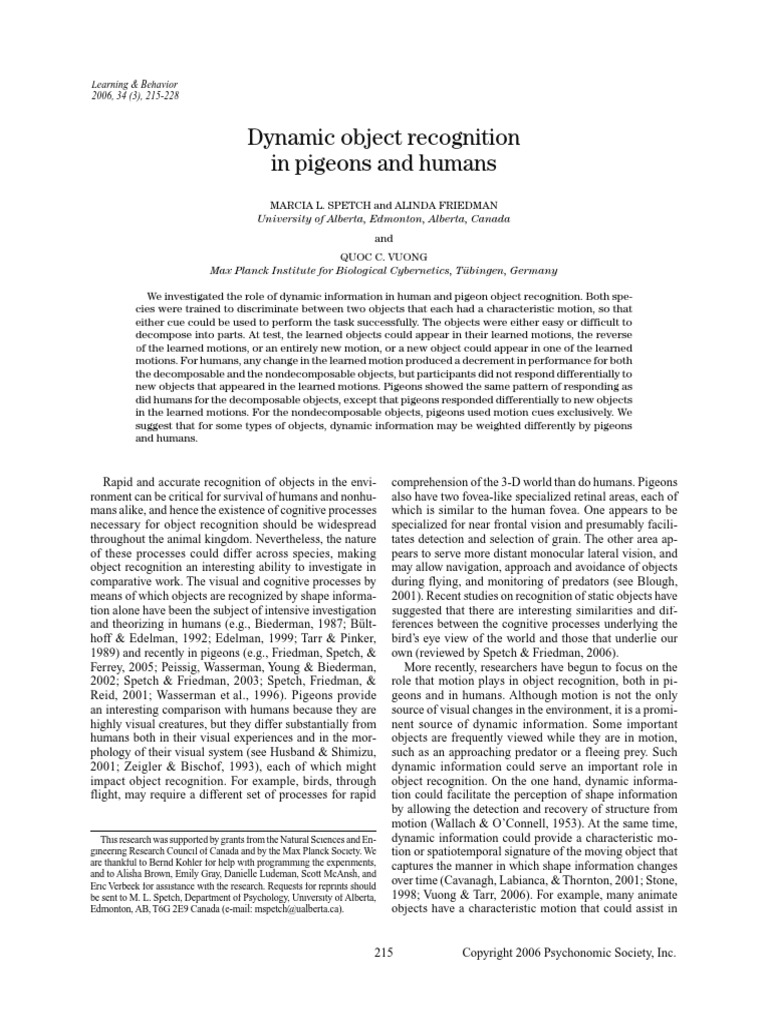 Dynamic Object Recognition in Pigeons and Humans | PDF | Experiment | Analysis Of Variance