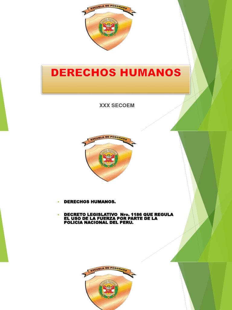 Uso de La Fuerza en El Marco de Didhh | PDF | Policía | Derechos humanos