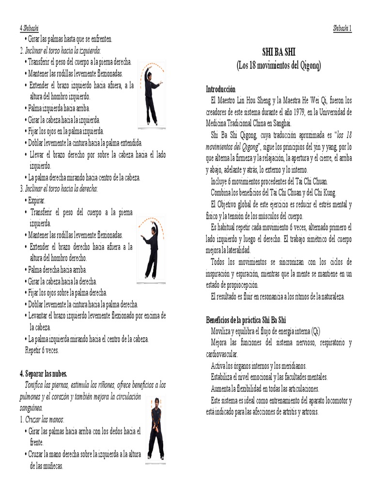 09 Ficha SHIBASHI PDF | PDF | Qigong | Pie