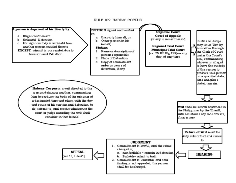 Rule 102 | PDF | Habeas Corpus | Government Institutions