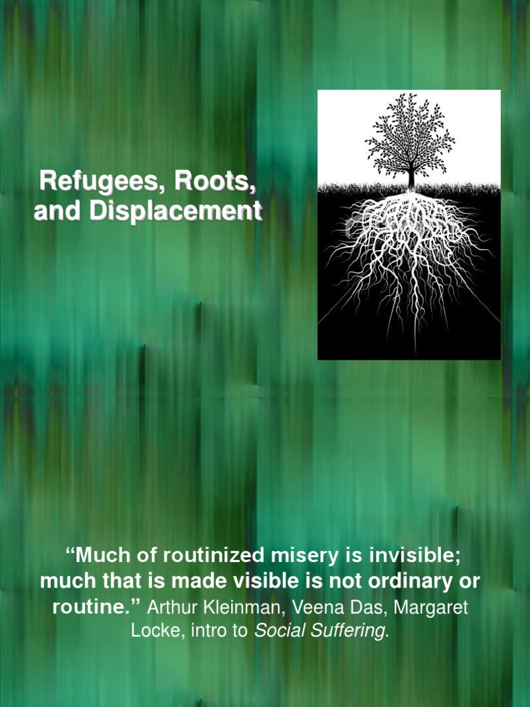 Refugees and Roots | PDF | Refugee | Human Rights