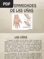 Acrodisostosis | PDF | Clavo (anatomía) | Ciencias de la Salud