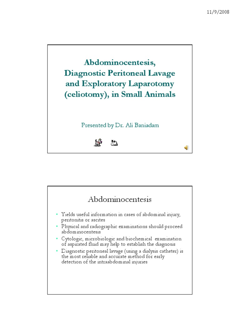 Exploratory Laparotomy in Small Animals | PDF | Liver | Medical Specialties