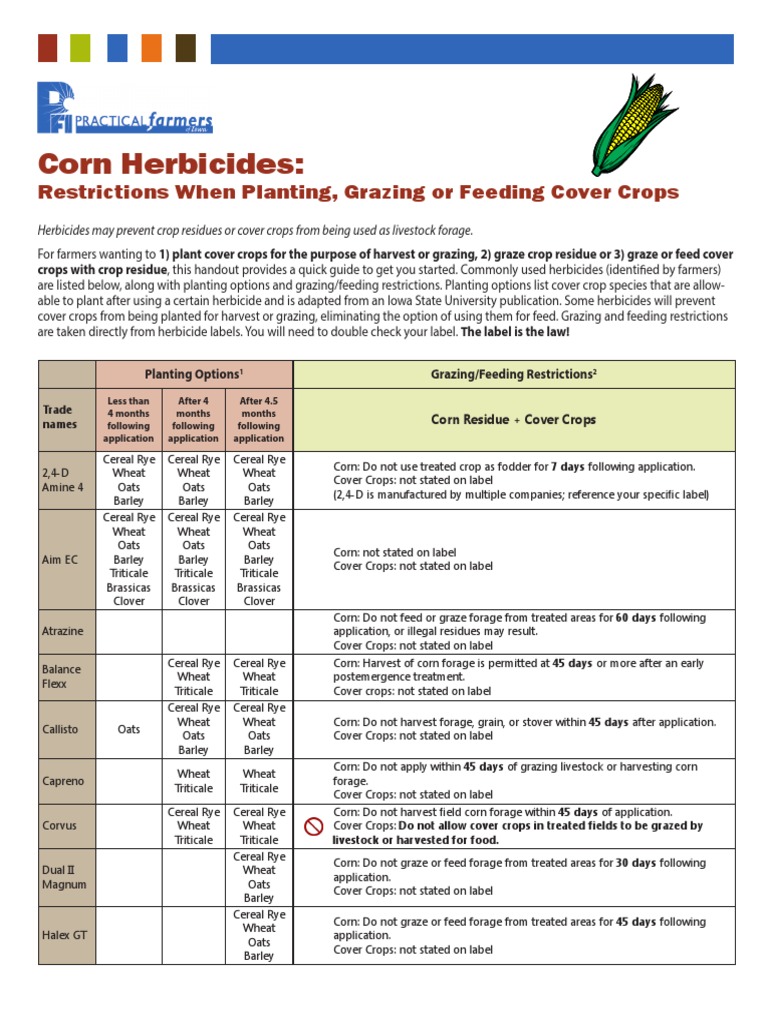 PFI Corn Herbicides | Rye | Cereals