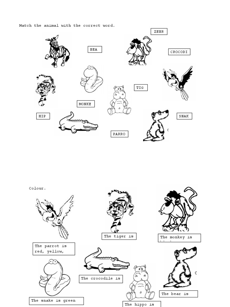 Match The Animal With The Correct Word. Zebr A | PDF