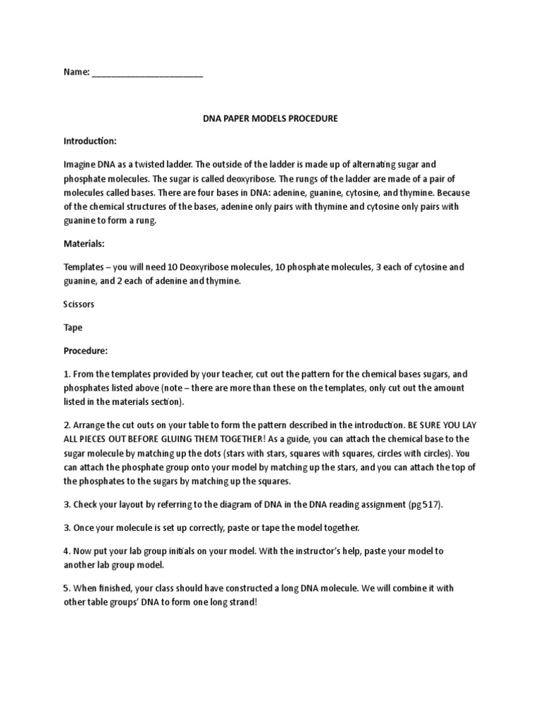 DNA Paper Models Activity | PDF | Dna | Nucleotides
