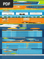 Pet Size o Meter Rabbit | PDF | Obesity | Dieting