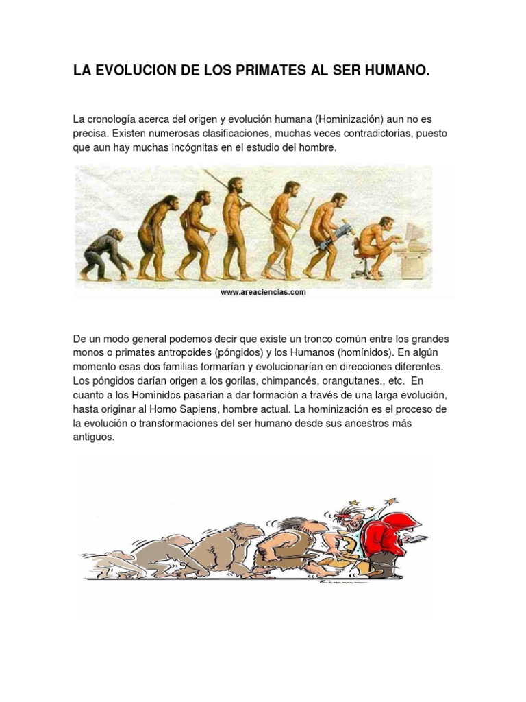La Evolucion de Los Primates Al Ser Humano | Homo | Evolución humana