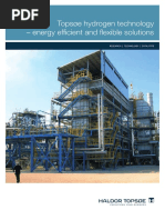 Haldor Topsoe Integration of Hter in Ammonia Plants WP 1 | PDF | Boiler ...