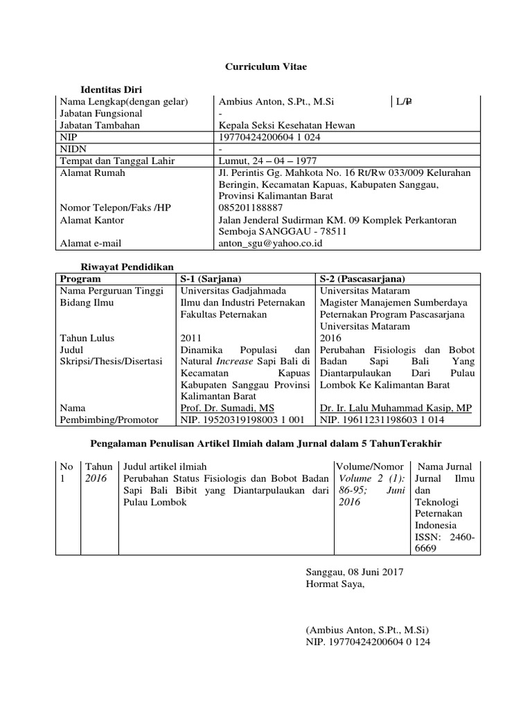 Contoh Curriculum Vitae | PDF