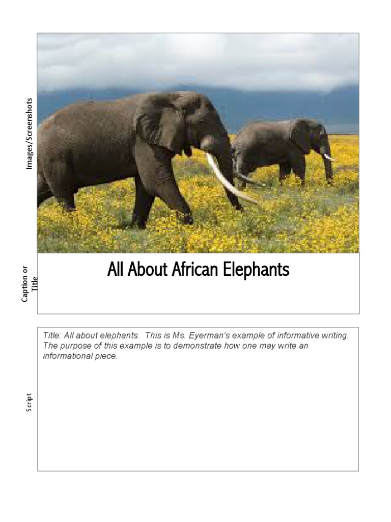 Elephant Storyboarding Example Eyerman | PDF