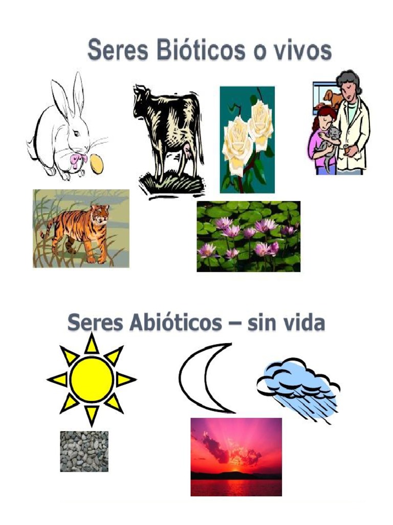 SERES ABIOTICOS Y BIOTICOS.docx