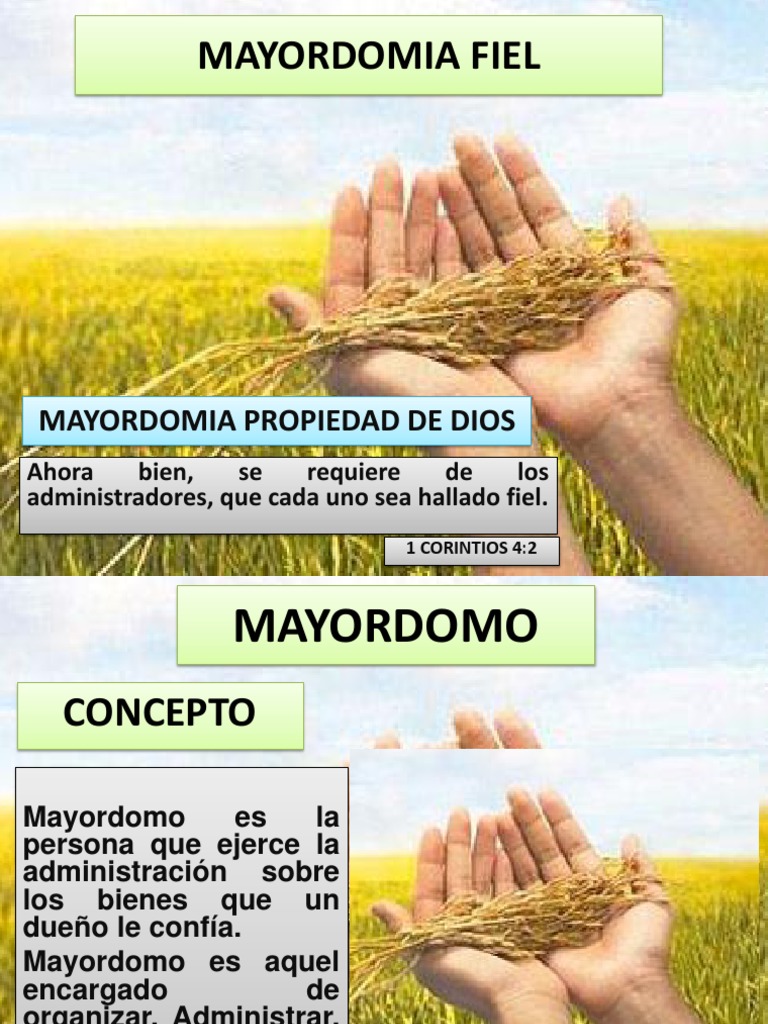 Mayordomía Cristiana Fiel | PDF | Propiedad | Biblia