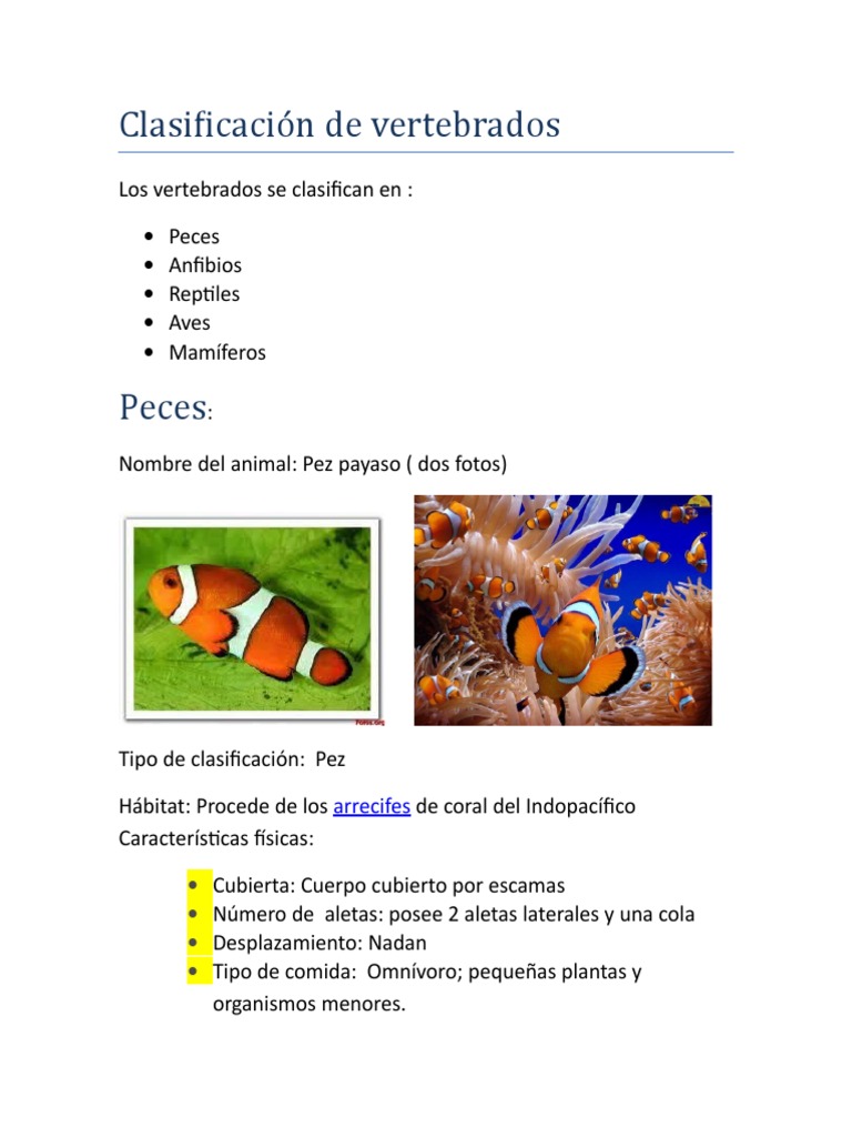 Clasificacion de Vertebrados | PDF | Organismos | Naturaleza