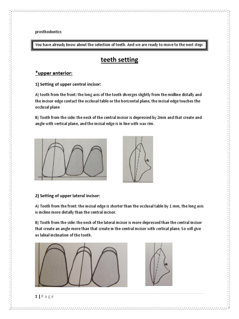 Prostho Sheet 8 Latest | PDF | Dental Anatomy | Animal Anatomy