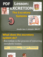 Oxidation And Reduction Grade 11 Notes 2024 Pdf Redox