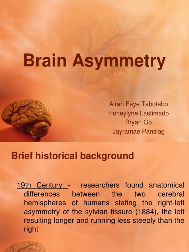 Brain Asymmetry | PDF | Lateralization Of Brain Function | Cerebral ...