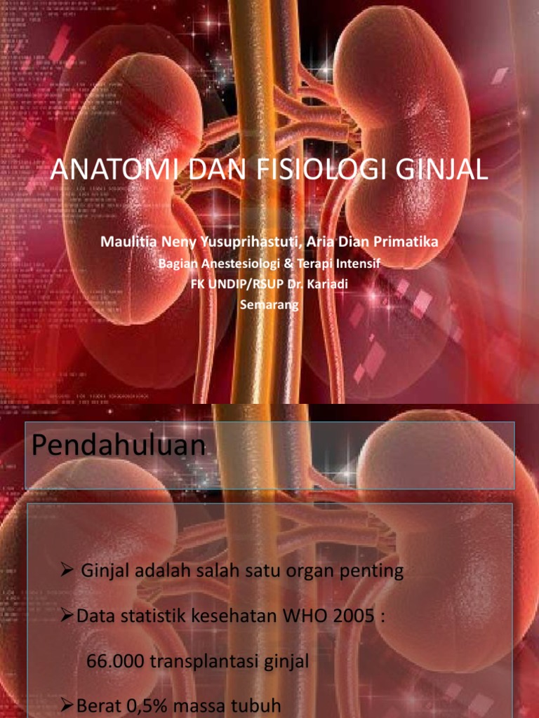 Power Point Anatomi Dan Fisiologi Ginjal | PDF