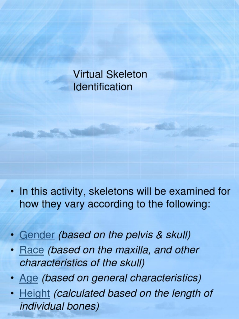 Virtual Skeleton Identification Presentation | PDF | Skull | Pelvis