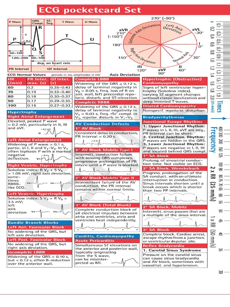 Ecg PDF | PDF