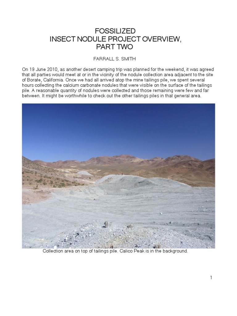 Fossilized Insect Nodule Project Overview Part Two | PDF | Microscope ...