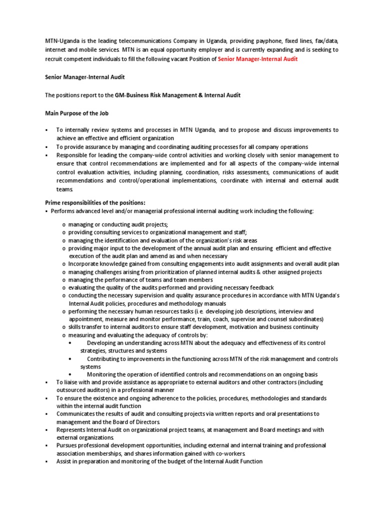Senior Manager - Internal Audit Position | PDF | Internal Audit | Risk ...