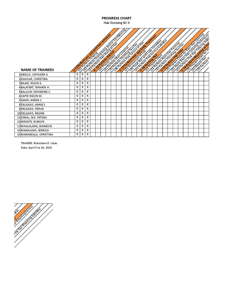 Progress Chart: Hair Dressing NC II | PDF