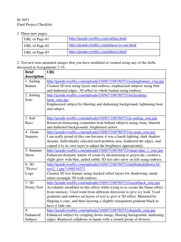 Genah Final Project Checklist | PDF