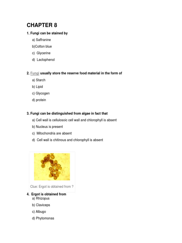 Chpter 8 Fungi | PDF | Fungus | Botany