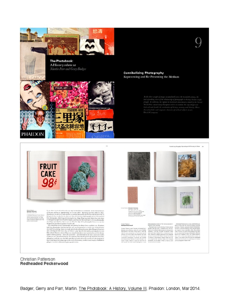 Patterson Photobook History 0314 | PDF