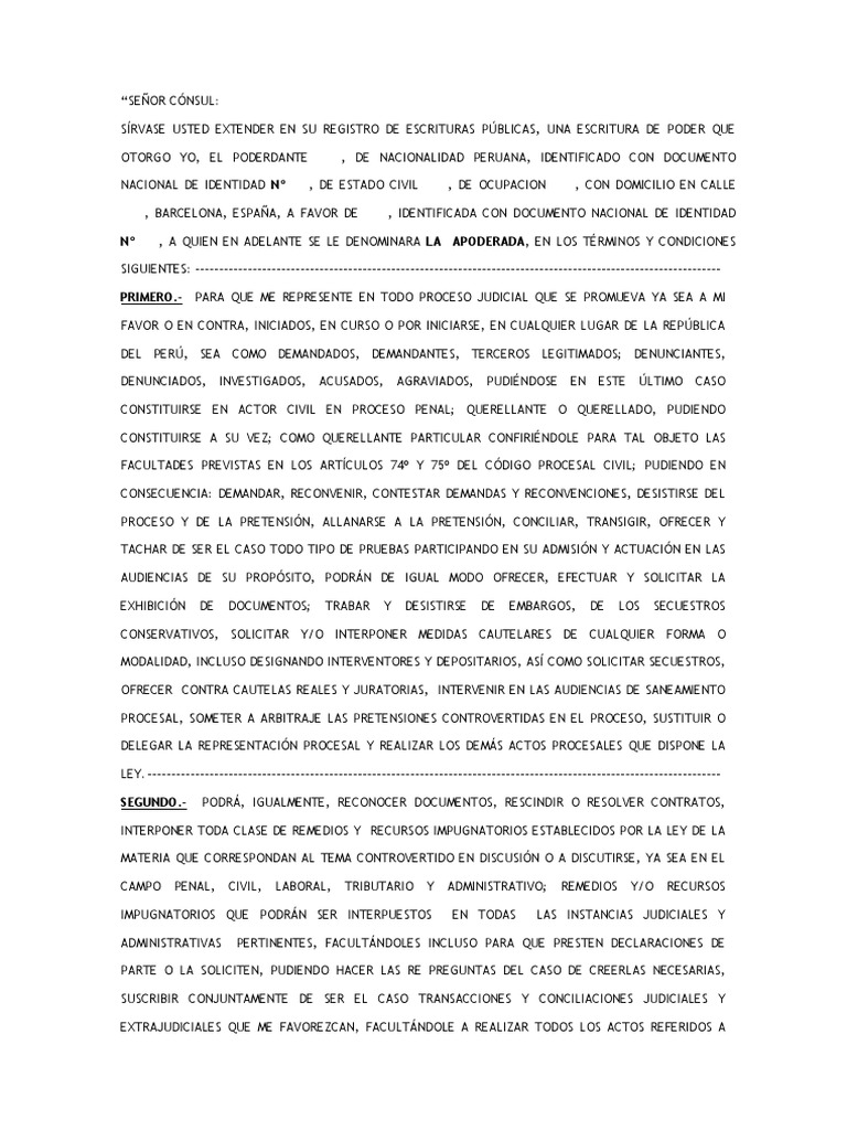 Modelo de Poder para Juicios | PDF