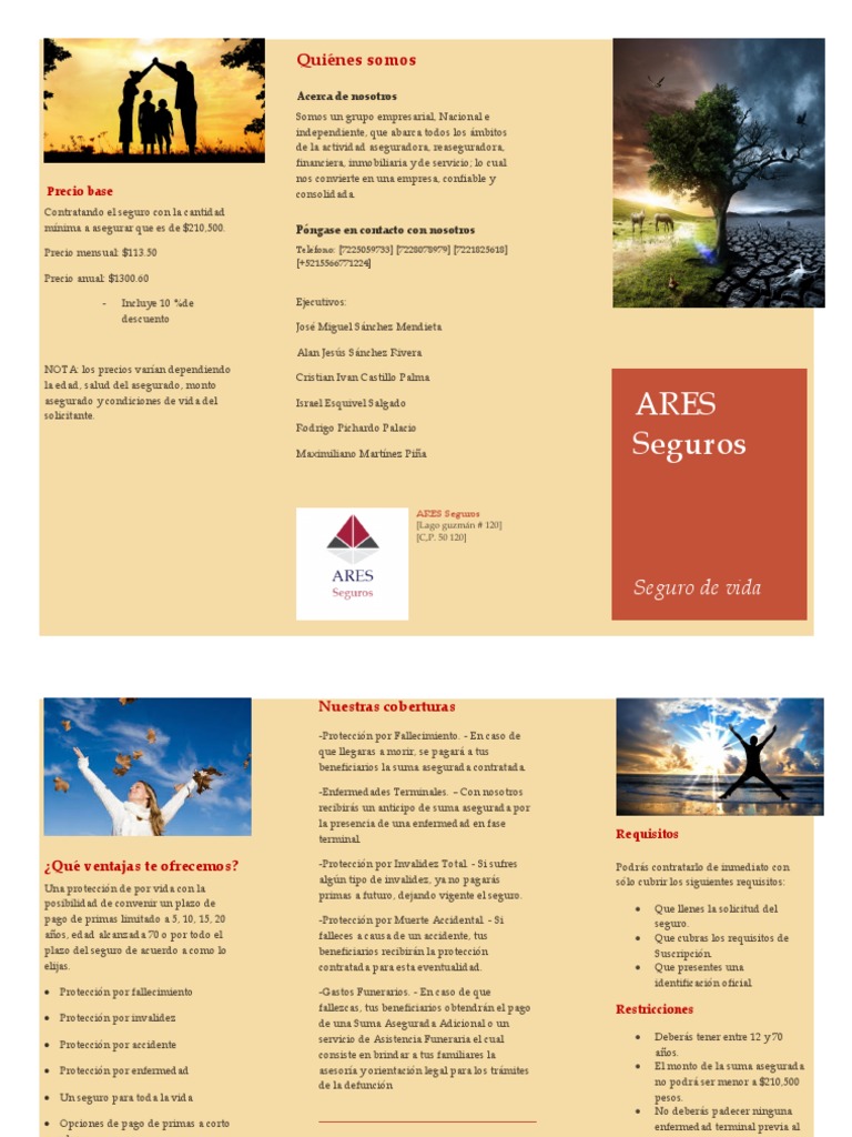 Triptico Seguro de Vida | PDF | Seguro de vida | Seguro
